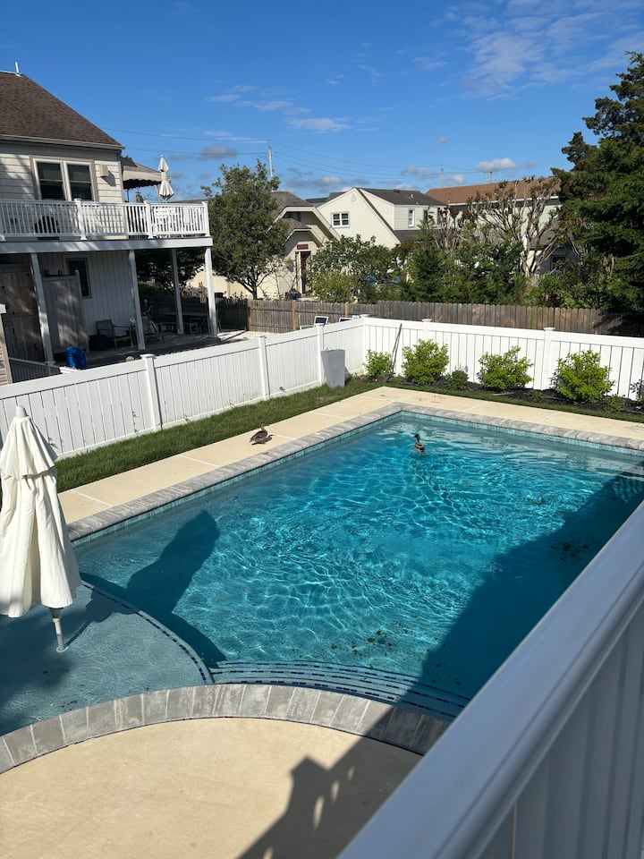 Perfect Tonic 2
One Week Only June27-july4th - Stone Harbor, NJ