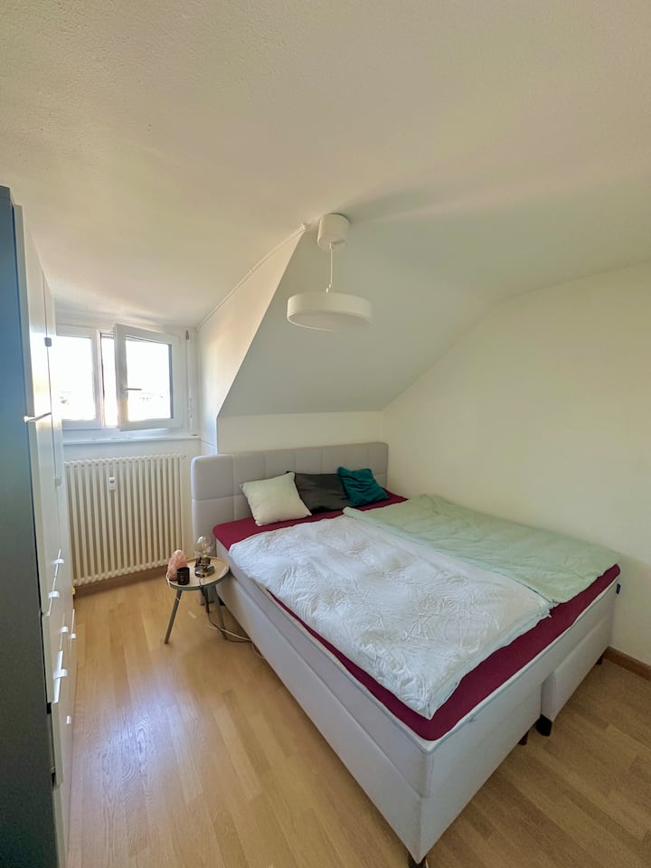 Schöne Wohnung In Basel Stadt. 5 Min Von St Jakob - Basilea
