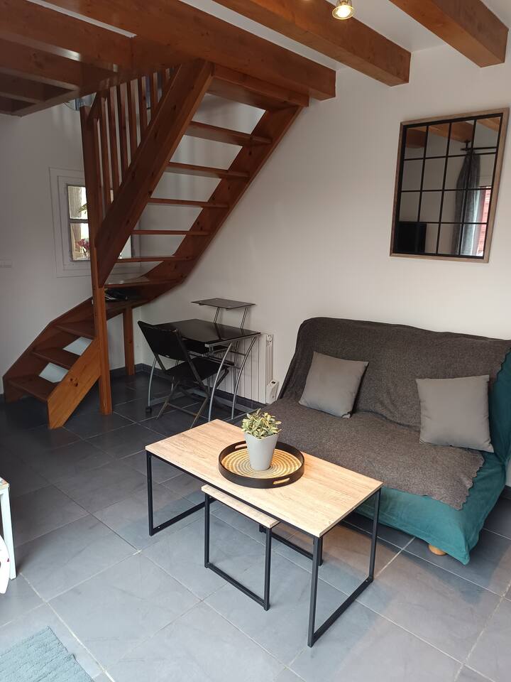 Appartement Et Terrasse - Pays basque français