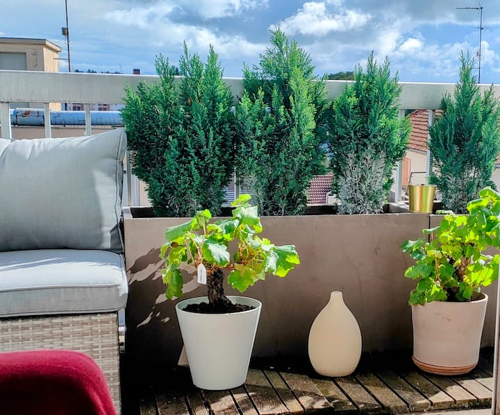 Bel Appartement 50m2 + Chats + Parking + Balcons - Strasbourg