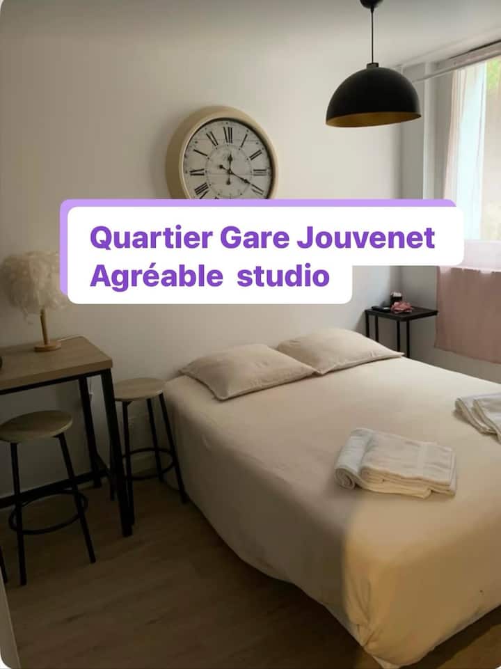 Le Glamour Studio Quartier Gare « Linge Inclus » - Ruan