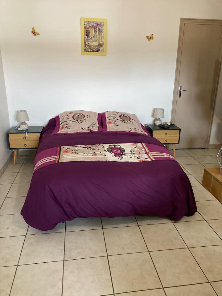 Studio Spacieux De 35 M² - Auch