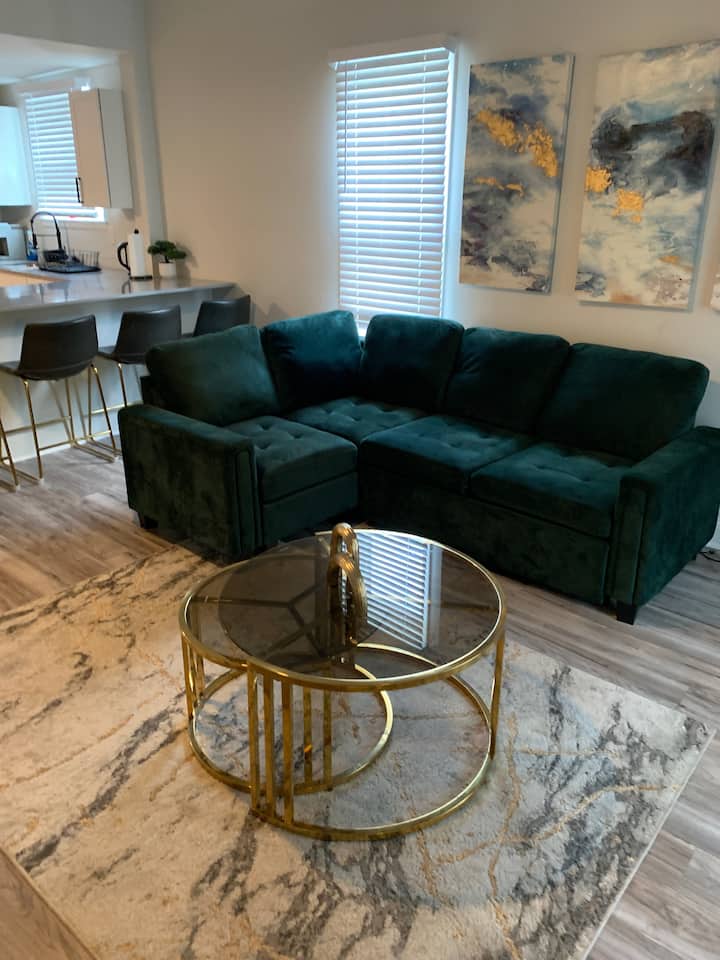 Modern One Bedroom Walking Distance To Breweries - Burritt on the Mountain