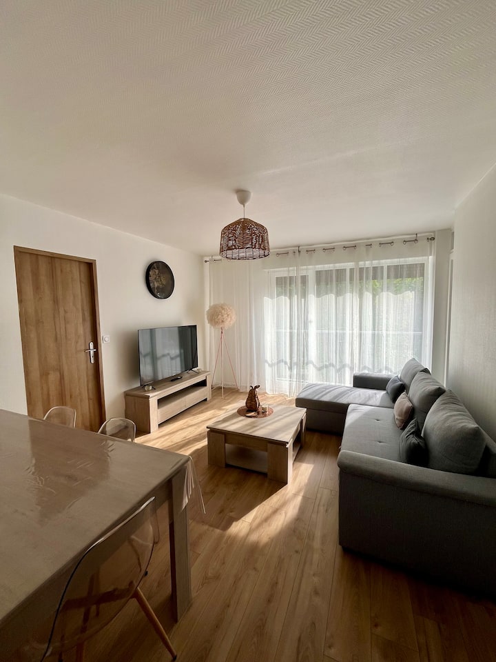 Appartement Cluses T3 - Taninges