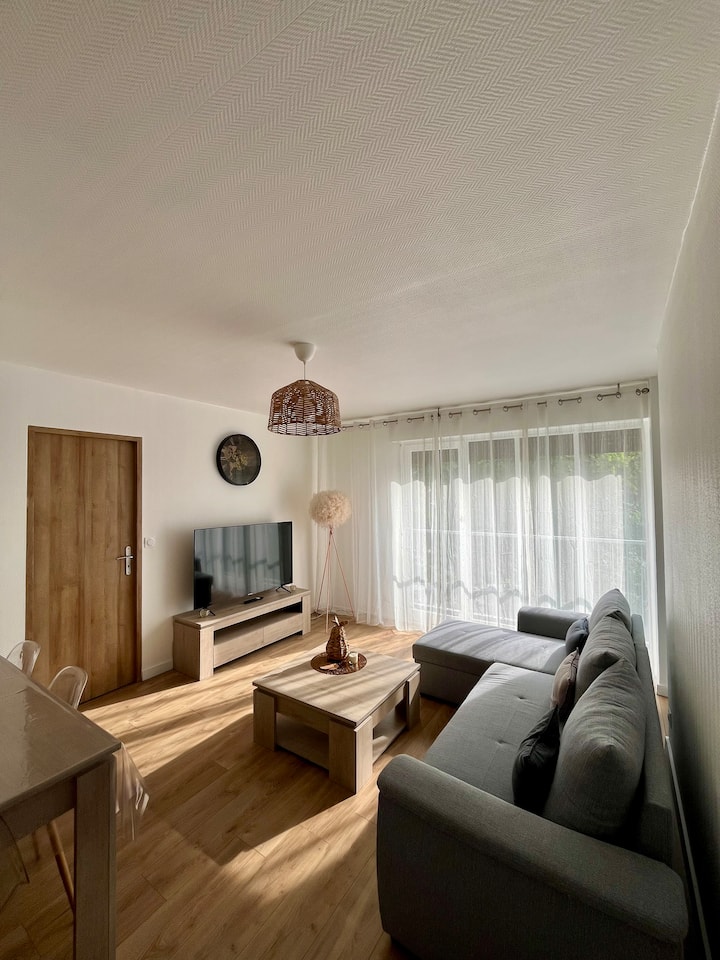 Appartement Cluses T3 - Cluses