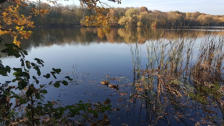 By Rusałka Lake | Free Parking | Family-friendly - Poznań