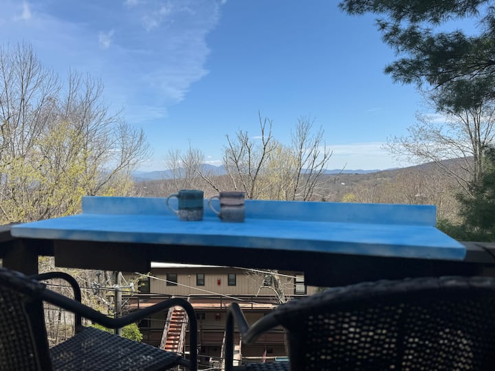 Amazing Mountain Views! 1 Min Drive To Slopes! - Banner Elk, NC