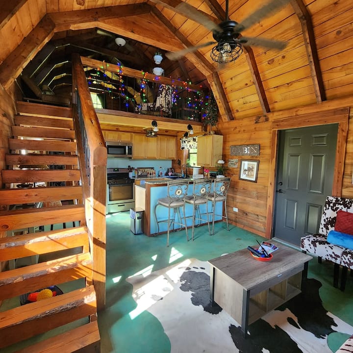 Lakefront Lux Loft Fish Zoo Farm Near Lindsey Park - Tyler, TX