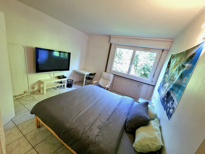 Genève Chambre Confortable - Geneva