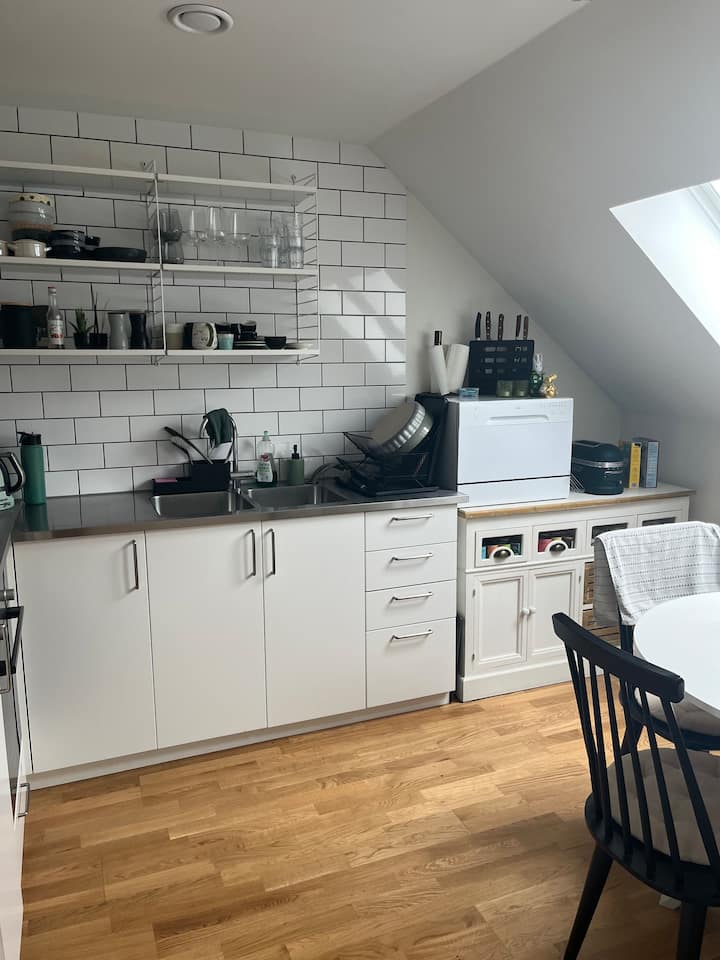 Uniqe Apartment In The Old City Of Lund - Lund