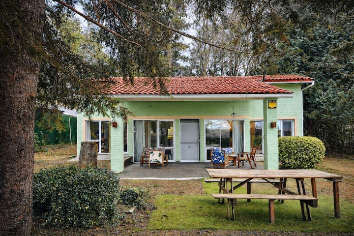 Pinsapo - El Espinar