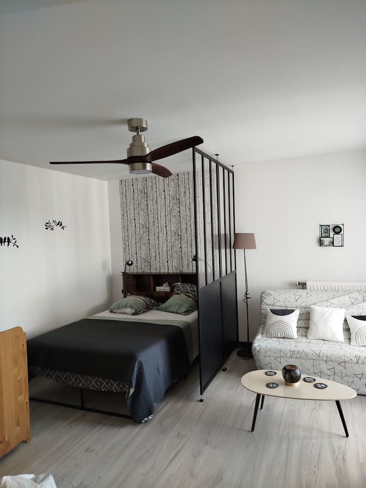 Studio Cosy Avec Balcon - Poitiers