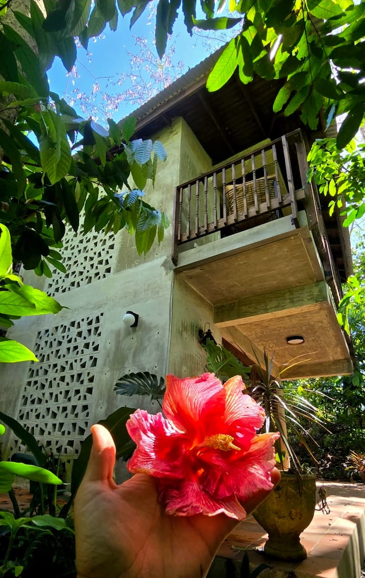 Hidden Cabin In Cacao Farm Between Grove And Sea - Rincón