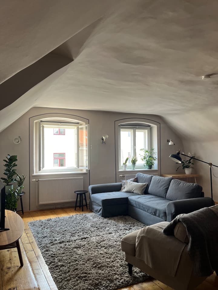 Cozy Loft In The Heart Of Vienna - Wien