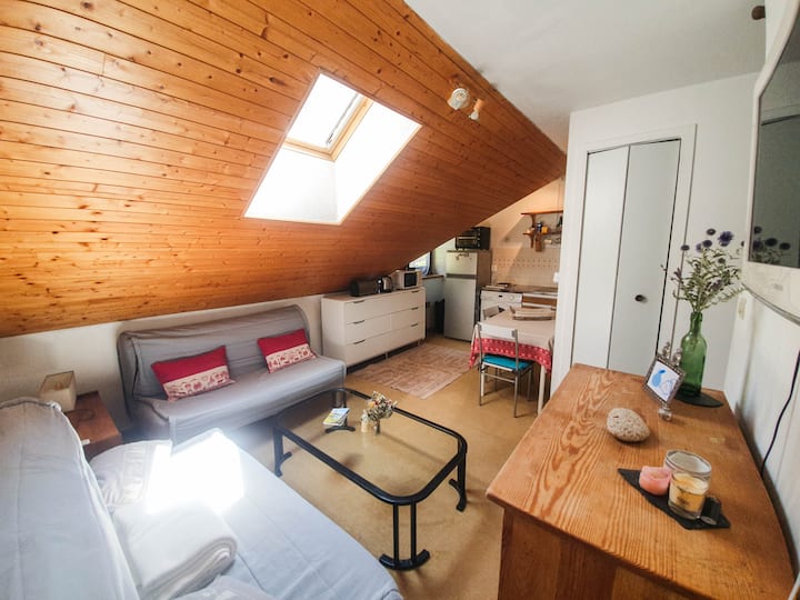 Studio Type Montagne Dans Résidence Calme - Briançon