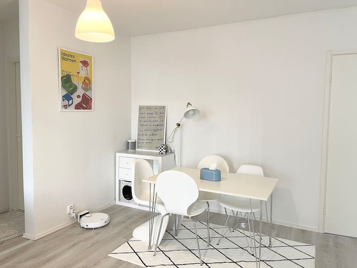 A Stylist Room & Adorable Cats - フィンランド ヘルシンキ