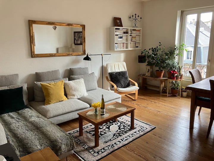 Strasbourg Entre Centre Historique Et Institutions - Bischheim