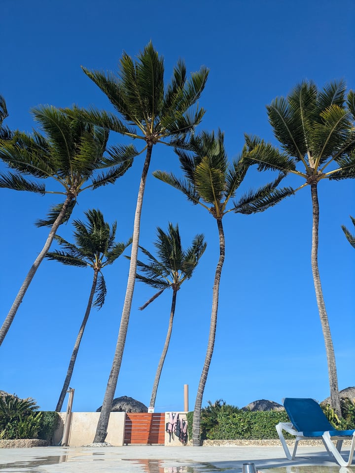 Franco Cielo - Cabarete