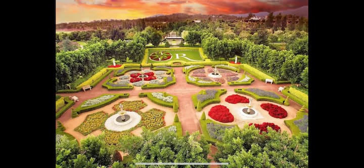 Magnolia Hill - Kitchener