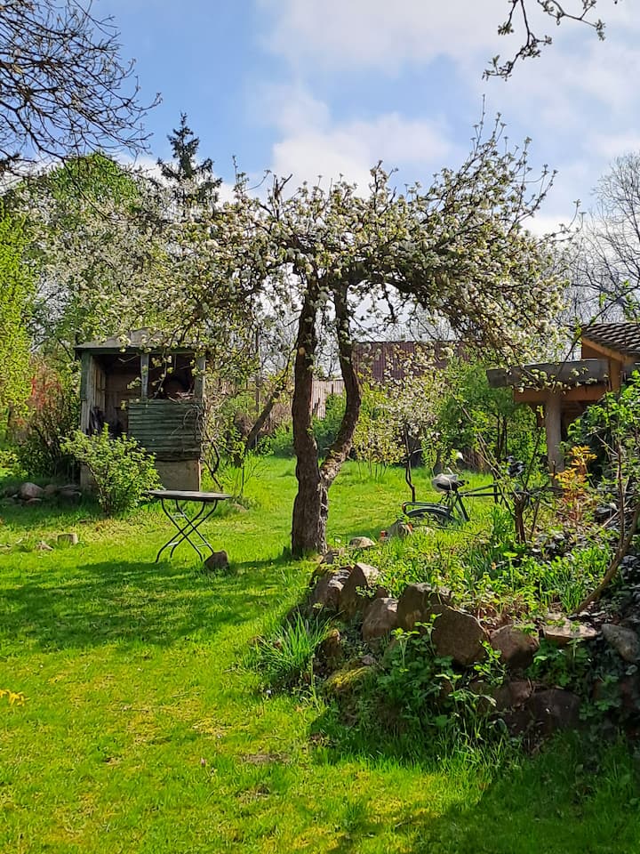 Ruhe Gesucht? Haus+garten Nur Für Euch - Pritzwalk