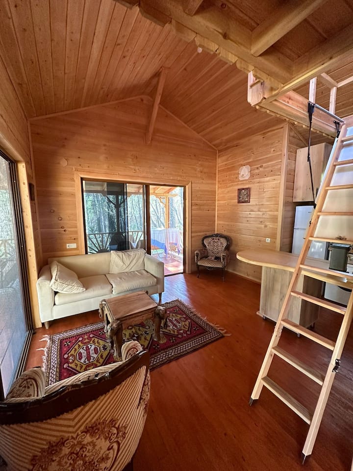 'Hypatia 'Sedir Villa' - Adrasan