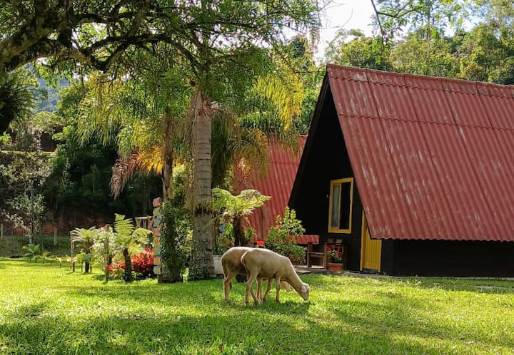 Chalé Beija-flor.
Conforto E Privacidade. - Águas Mornas