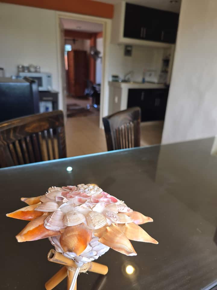 ¡Loft Rayito De Sol! Centro Zihuatanejo Con A/c - シワタネホ