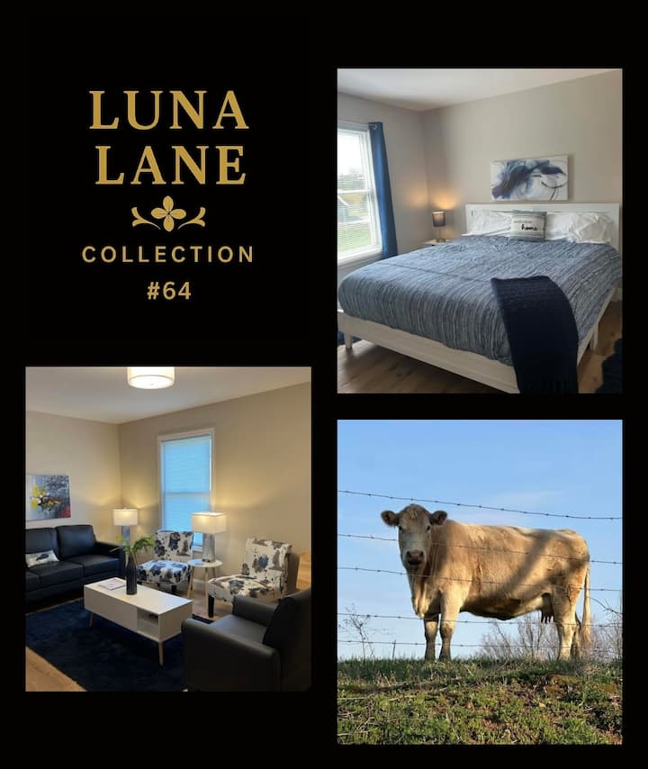 (64) 3bedroom Comfy Beds And Mountainview  Home - Splash Pad, Manchester