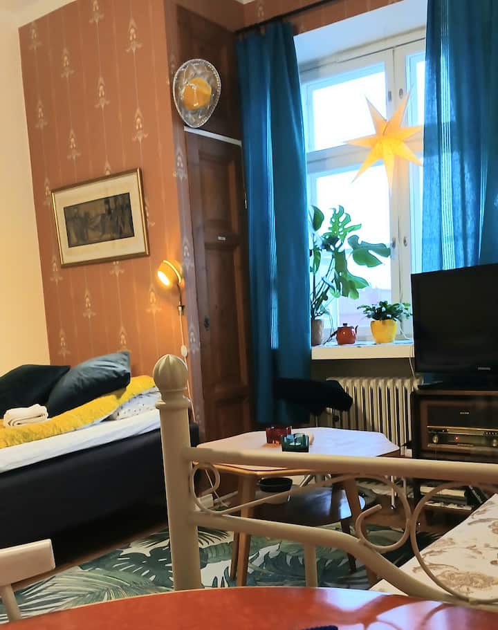 Viihtyisä Ja Nostalginen Yksiö Alppilassa - Helsinki