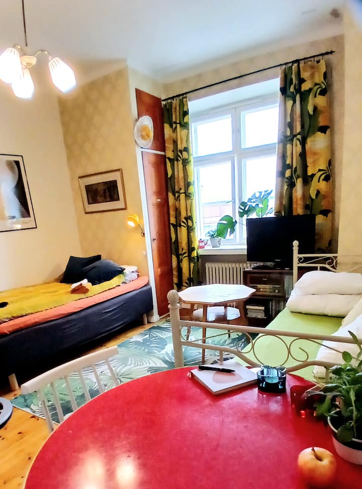 Viihtyisä Ja Nostalginen Yksiö Alppilassa - Helsinki