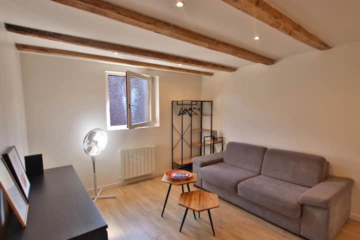 Studio Rousseau - Vieille Ville Annecy 2* - Annecy