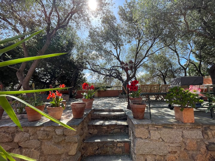 Villa De Charme, Piscine Centre Calvi - Calvi