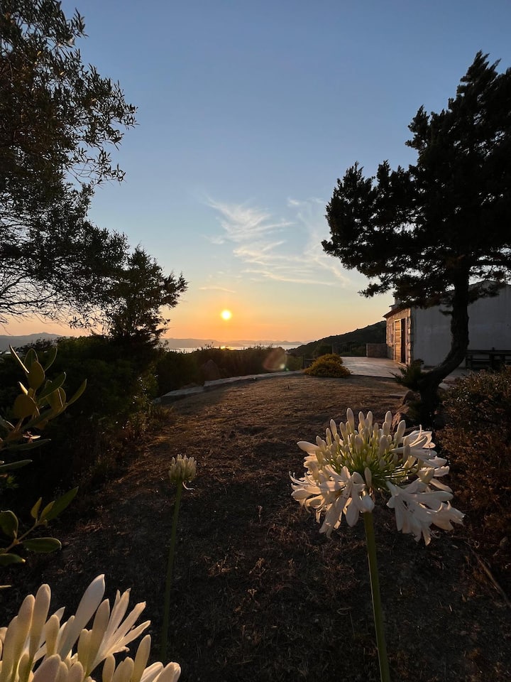Monolocale Vista Mare - Baia Sardinia-porto Cervo - Arzachena