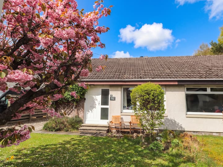Steam Cottage - Boat of Garten
