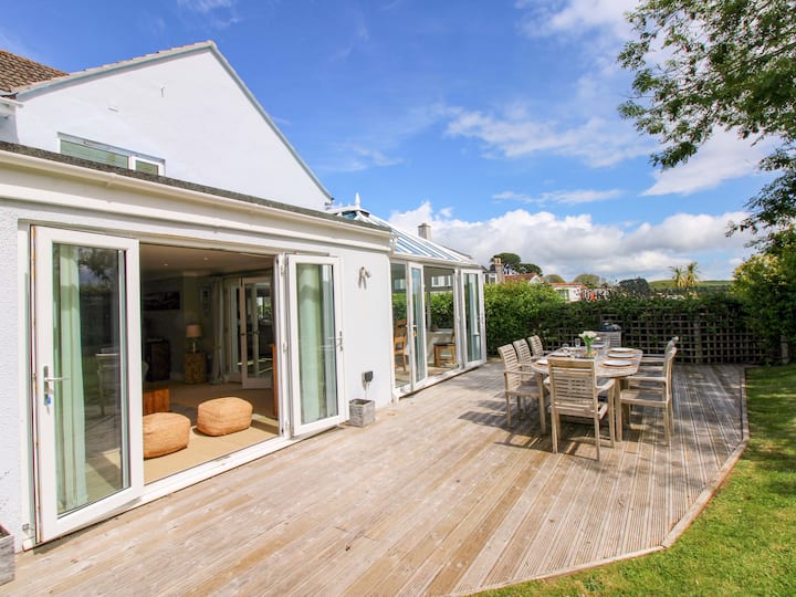 Welsummer - Salcombe