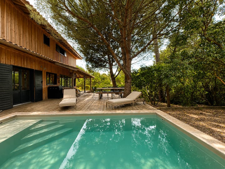Villa Gaudina Vacances Au Canon Pour 12 - Cap Ferret