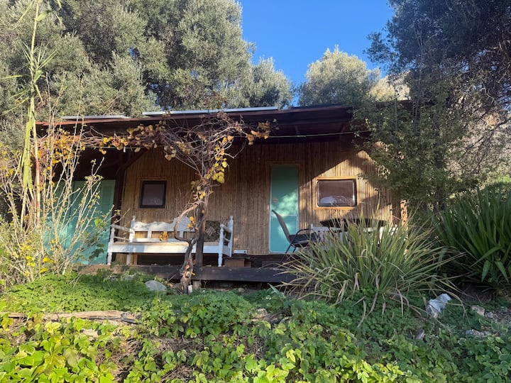 Zoe - Cabin In Nature - Griechenland