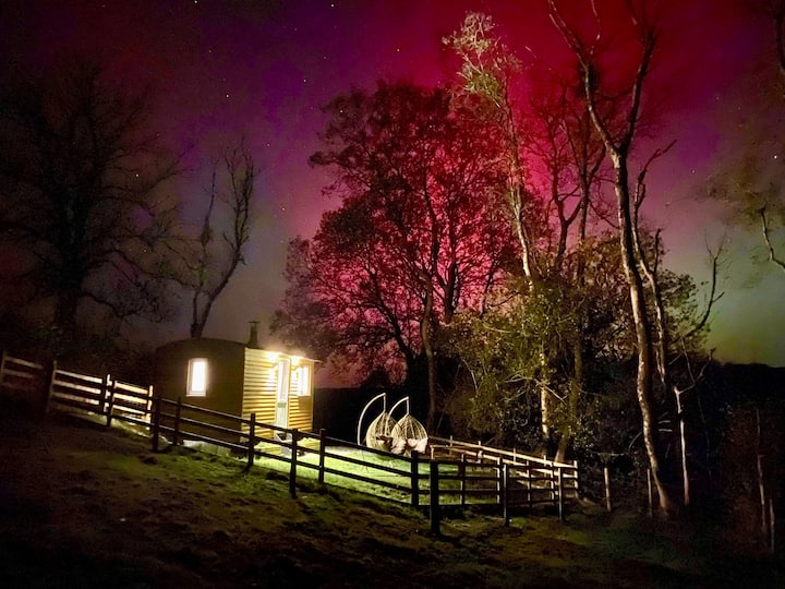 Berllan Y Bugail Shepherd’s Hut - Wales