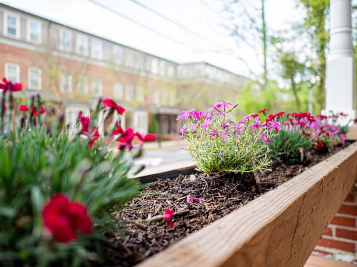 Marietta Square's Home Away! - Kennesaw, GA