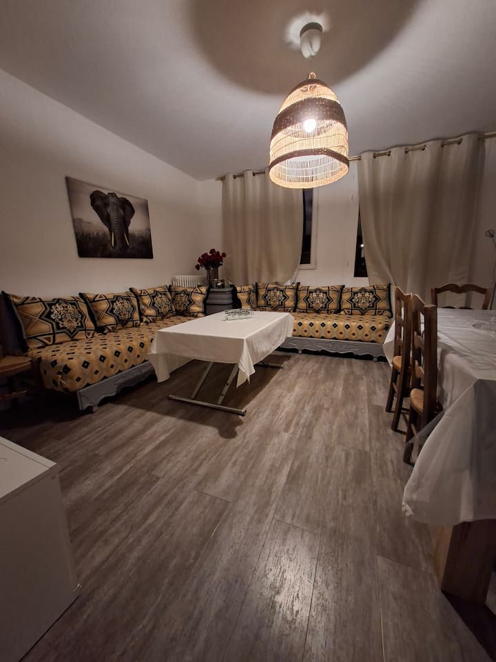 4 Chambres 8 Pers Pro/groupe /Famille/airbus/meet - Colomiers