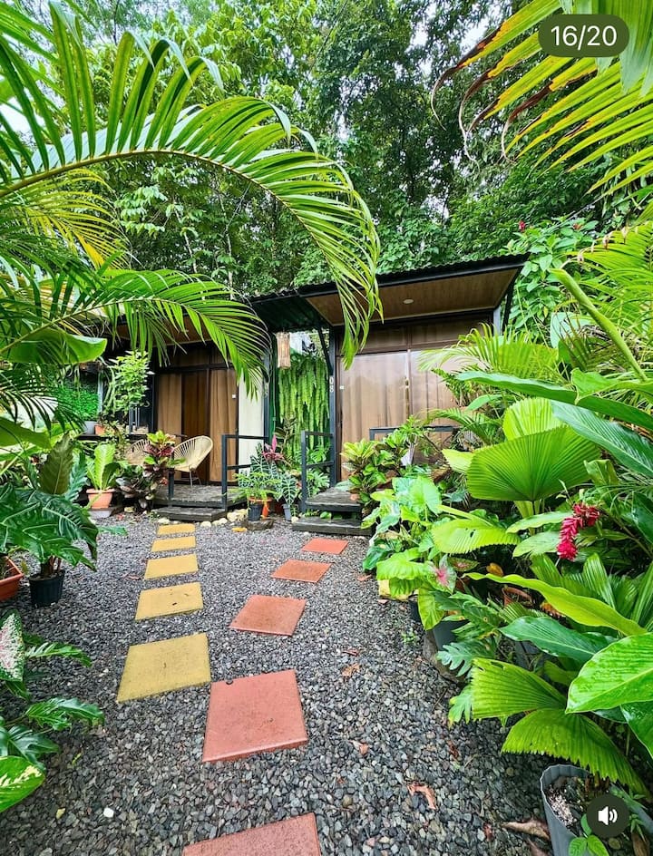 Rainforest Container Experience 5 - Costa Rica