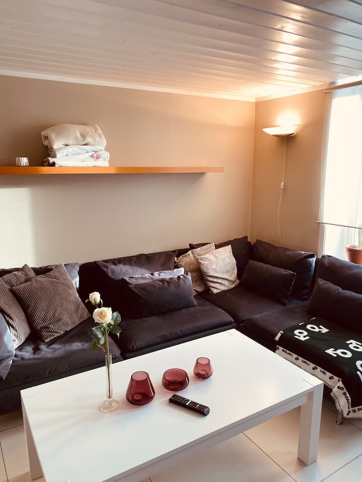 Mysig Hybel / Cosy Apartment In Oslo - Oslo