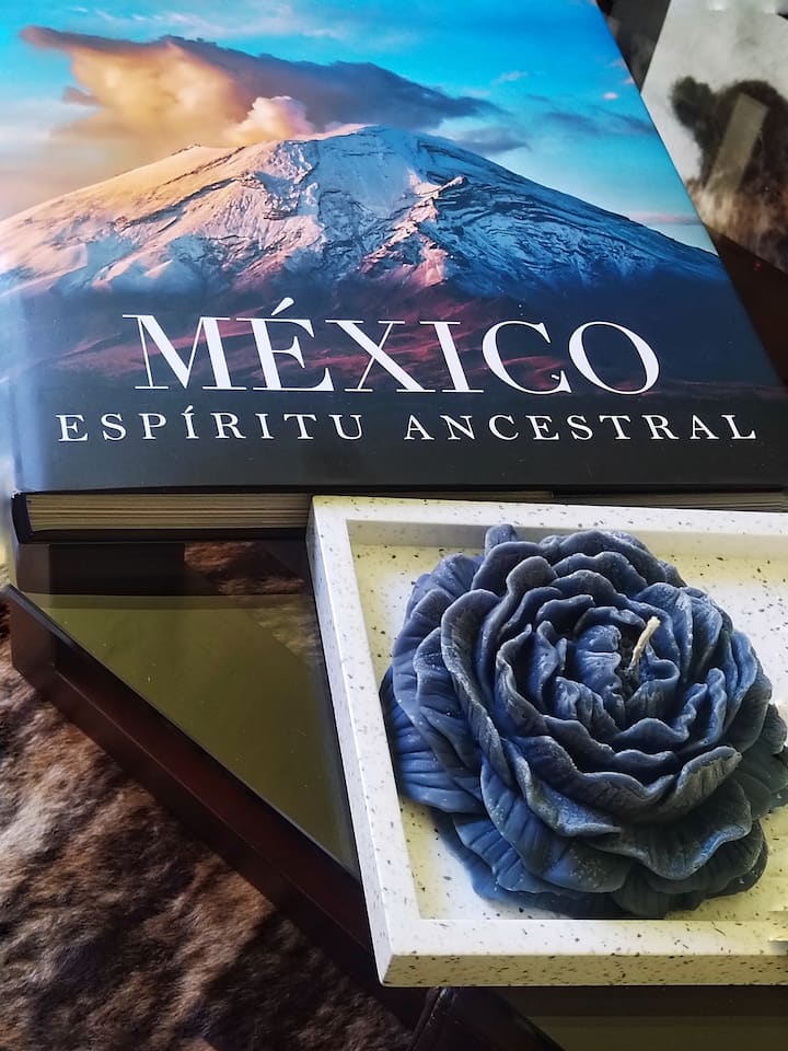 Ideal For Long Stays.parking 1bdrm 1 Bth Wifi. Gdn - Metepec