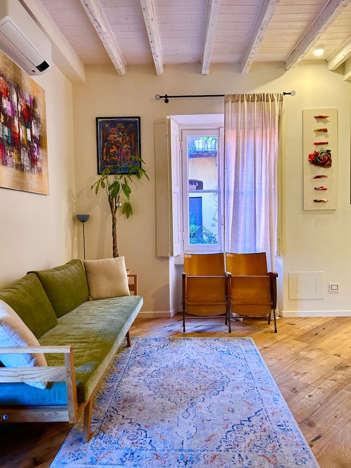 Traditional “Casa Di Ringhiera” - Milan