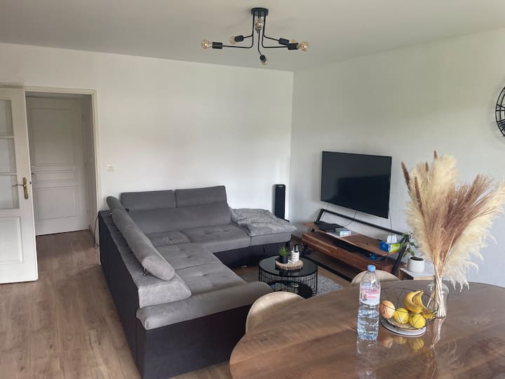 Appartement Calme En Rdc - Orleans