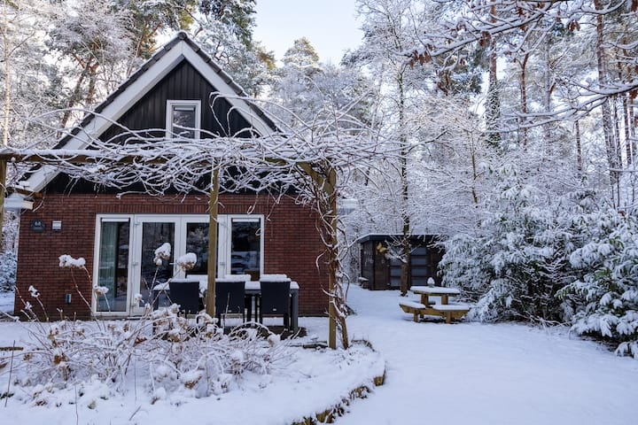 Forest Lodge Veluwe - Vakantiehuis Vliegend Hert - Nunspeet