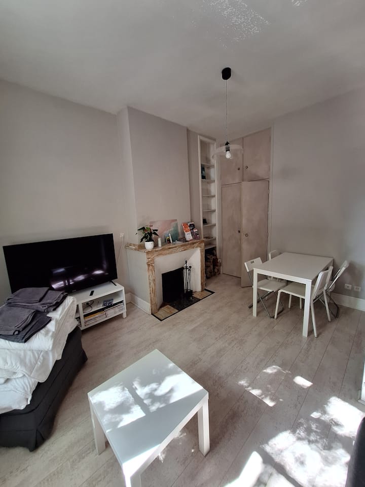 Appartement Pont Des Catalans - Toulouse