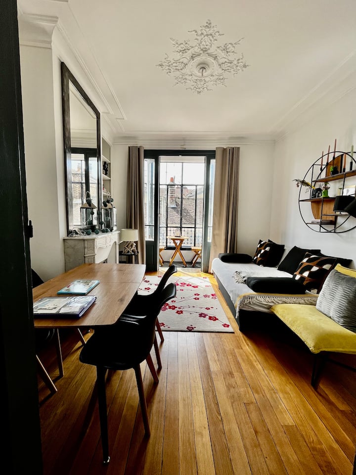 Superbe Appartement Bellifontain Au Coeur De Ville - Fontainebleau
