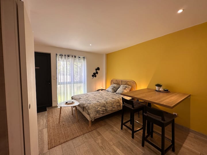 Maison Studio Terrasse + Parking : «&nbsp;Le Moutarde» - Cher