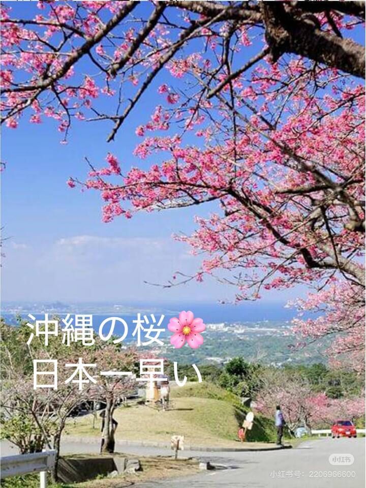 【新築戸建】Garden Bbq機材付き、ビーチ目の前の一棟貸切、釣り体験 - Okinawa Prefecture, Japan